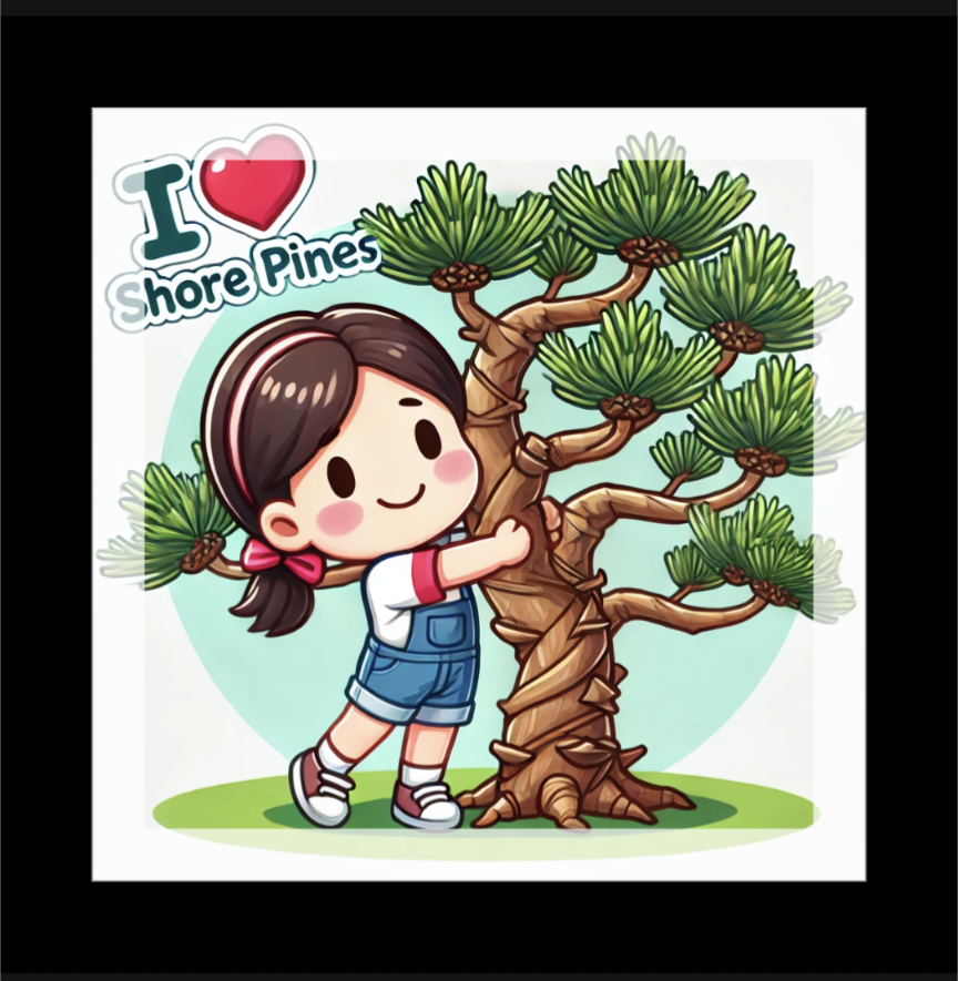 The Shore Pine: A Coastal Marvel of Pacific County, WA – Surfside ...