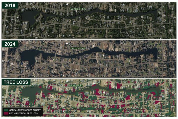 Climate Threats Intensify as Tree Canopy Around Seabreeze Lake Declines ...